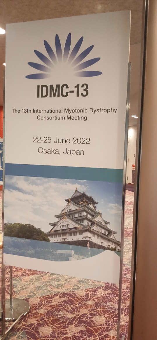 IDMC-13 Album 1 | IDMC Archive